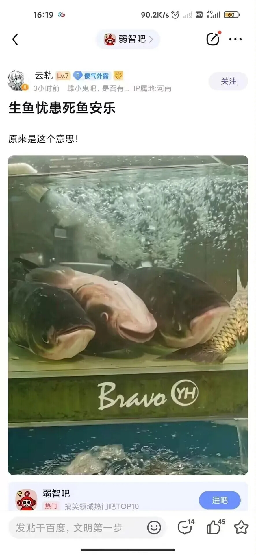 梗图 - 高清图片，堆糖，美图壁纸兴趣社区