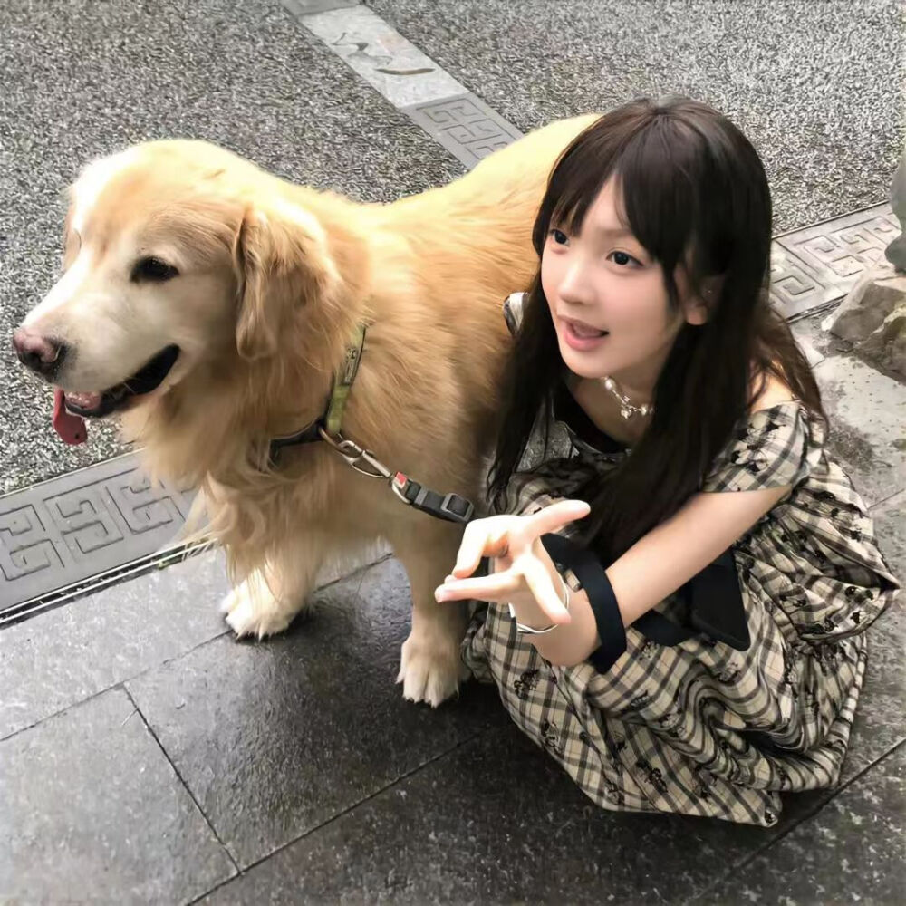 做开心的小猫。二传注明.@Huuui惠惠惠 - 高清图片，堆糖，美图壁纸兴趣社区