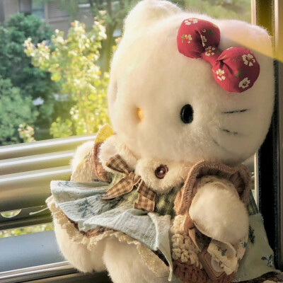 飞天小兔 跳伞小兔 #可爱头像# - 高清图片，堆糖，美图壁纸兴趣社区