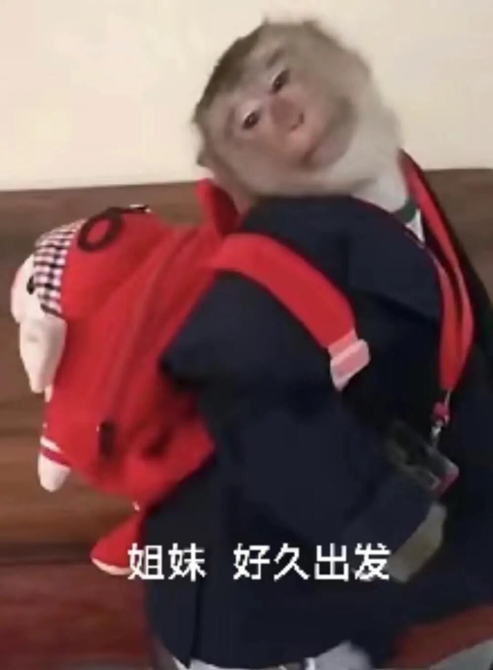 豆瓣：https://www.douban.com/group/topic… - 高清图片，堆糖，美图壁纸兴趣社区