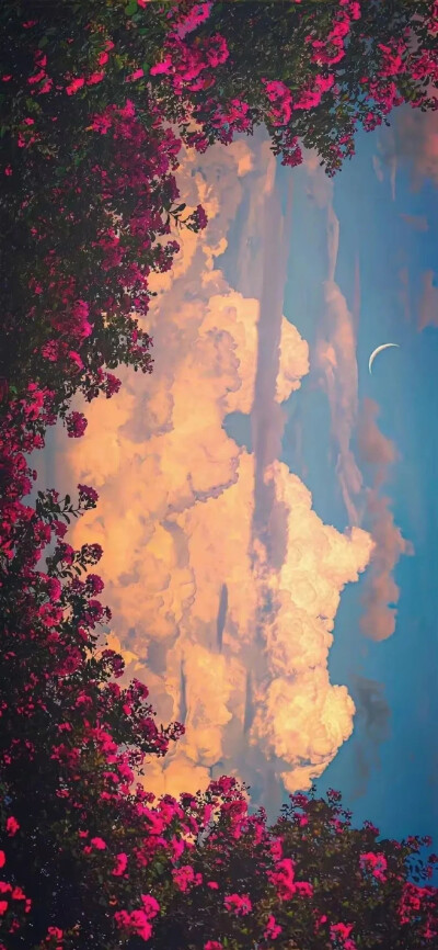 bz - 高清图片，堆糖，美图壁纸兴趣社区