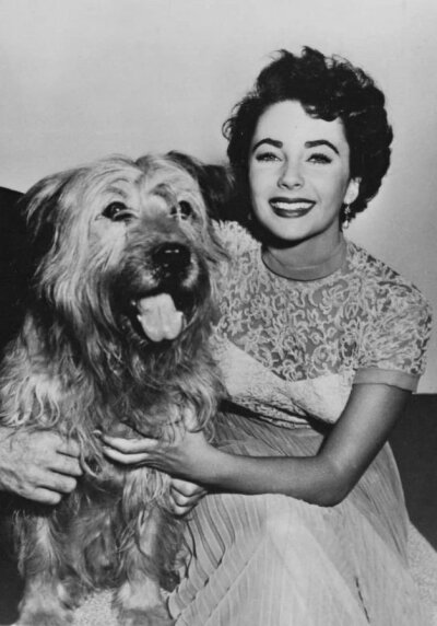 Elizabeth Taylor - 高清图片，堆糖，美图壁纸兴趣社区