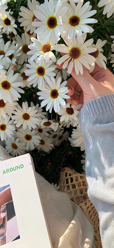 ins壁纸 - 高清图片，堆糖，美图壁纸兴趣社区