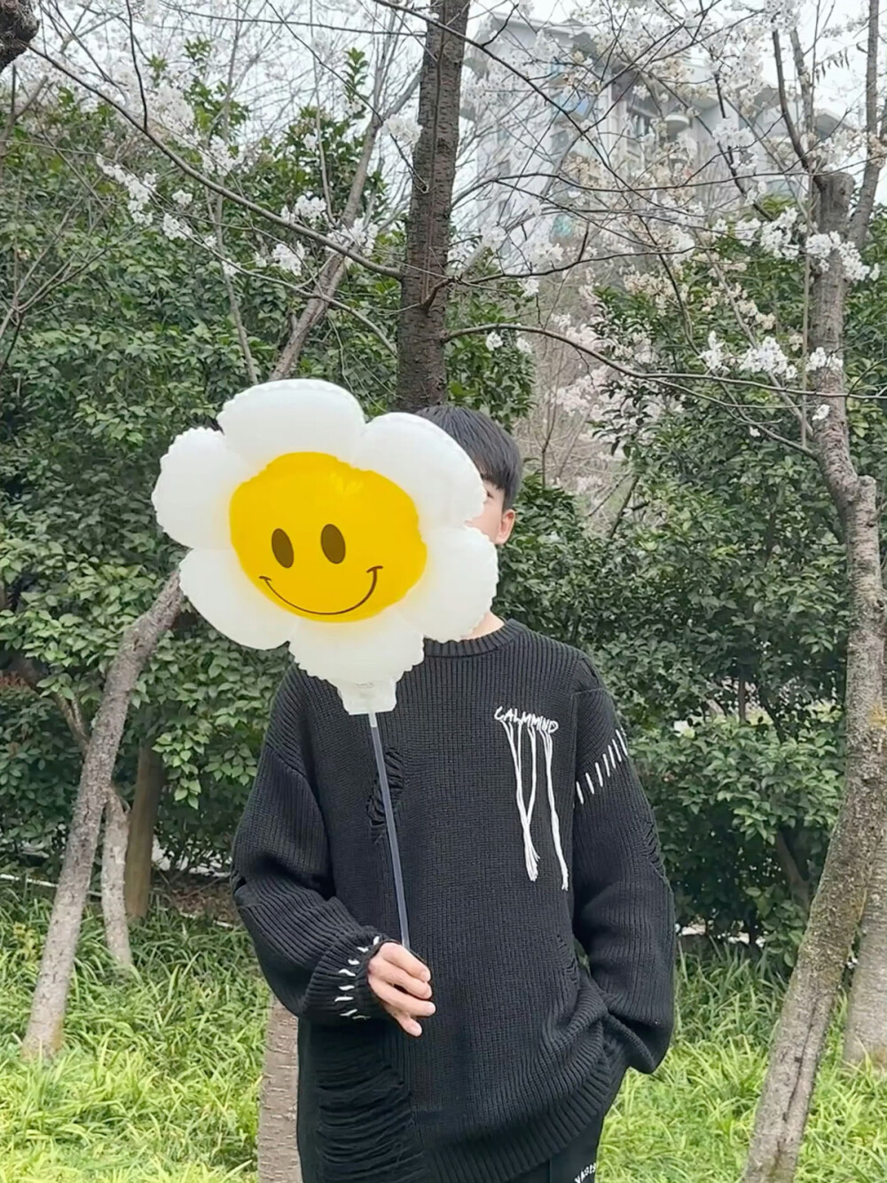 黄子弘凡 hzhf lars - 高清图片，堆糖，美图壁纸兴趣社区