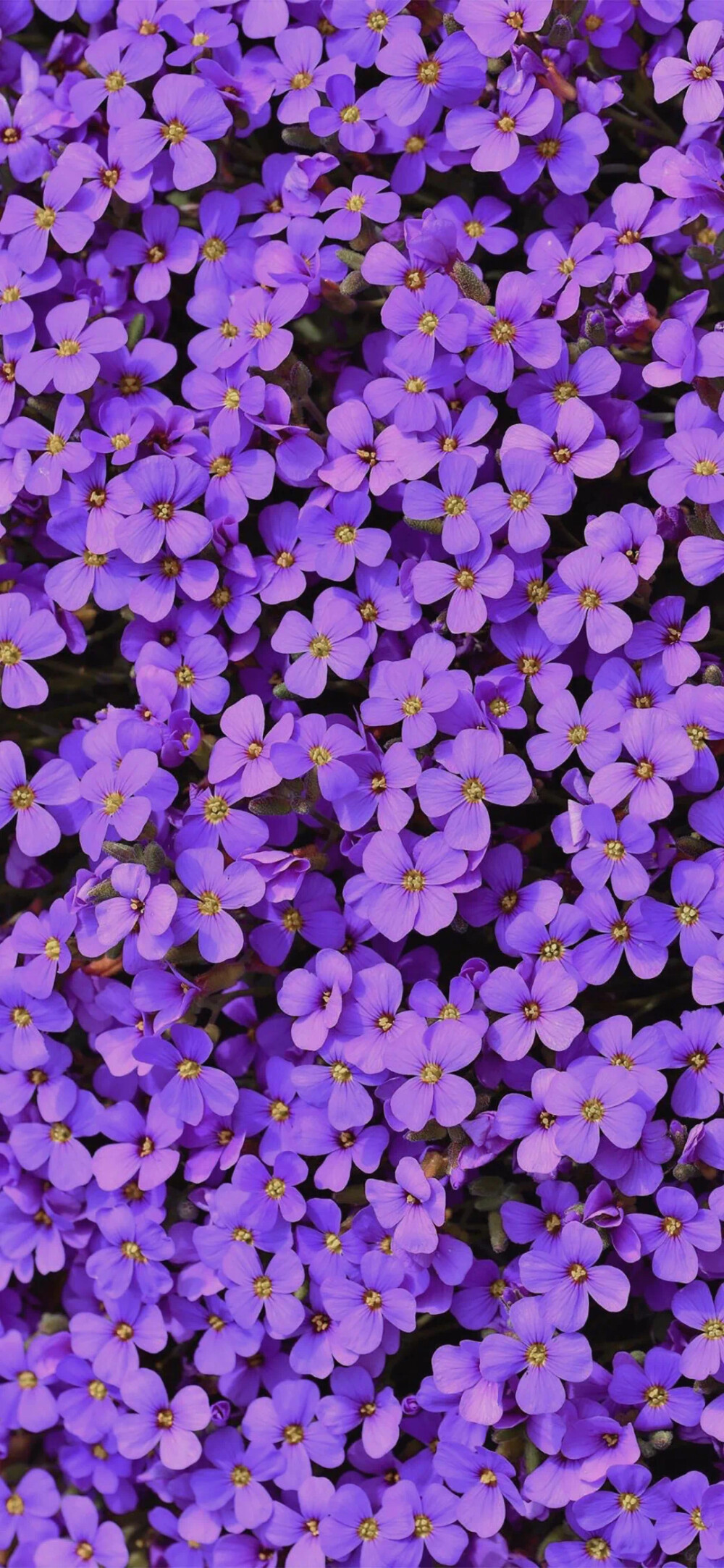 v vvvv - 高清图片，堆糖，美图壁纸兴趣社区