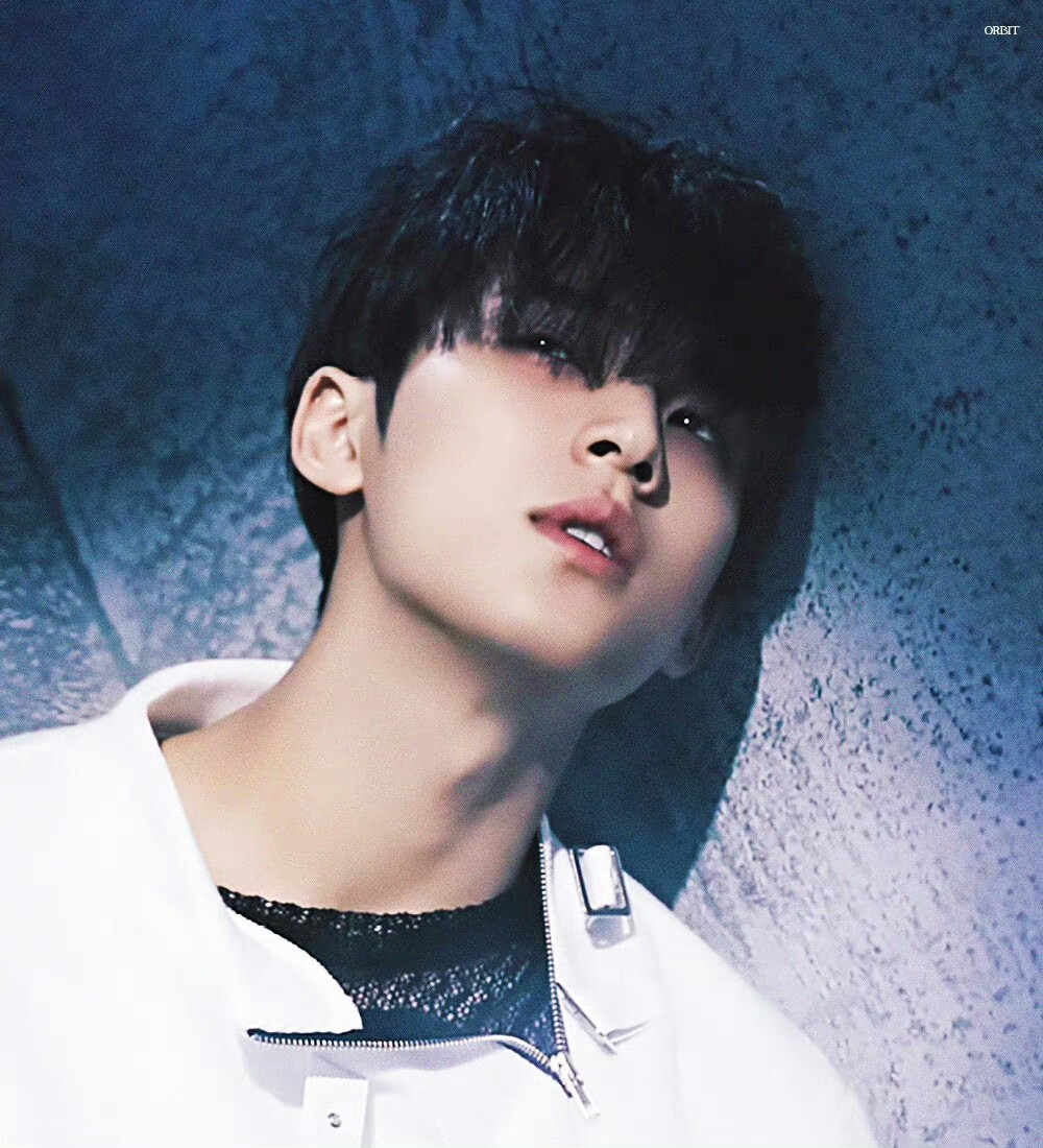 wb - 高清图片，堆糖，美图壁纸兴趣社区