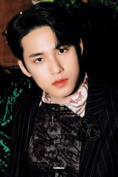 wb - 高清图片，堆糖，美图壁纸兴趣社区