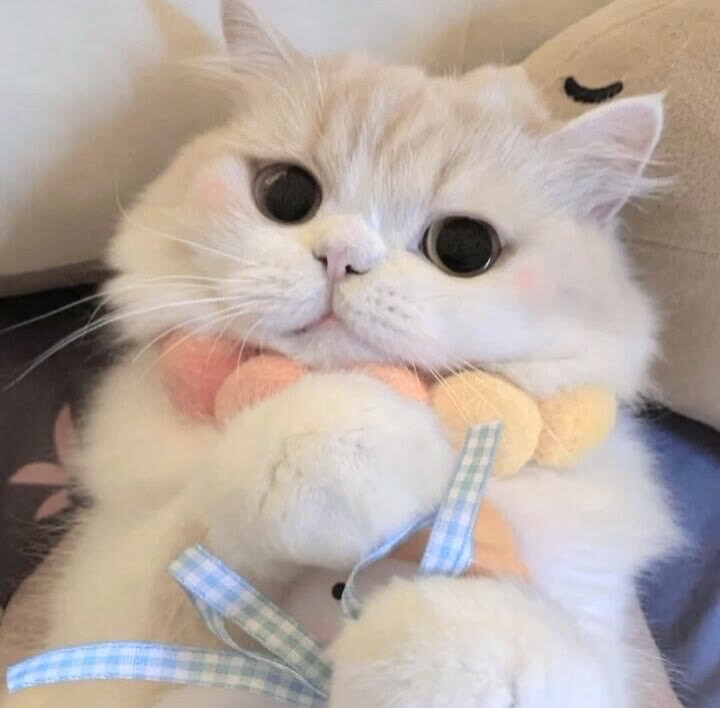 mmmmmmm - 高清图片，堆糖，美图壁纸兴趣社区