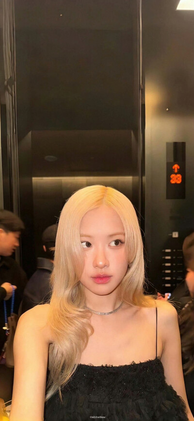 Rose - 高清图片，堆糖，美图壁纸兴趣社区