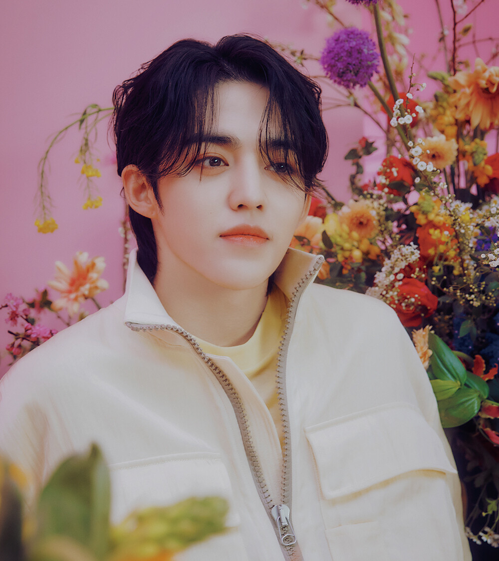 svt - 高清图片，堆糖，美图壁纸兴趣社区