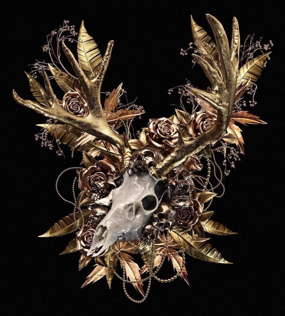 深夜惊艳一下！ 来自英国3D & 2D艺术家 Bil… - 高清图片，堆糖，美图壁纸兴趣社区