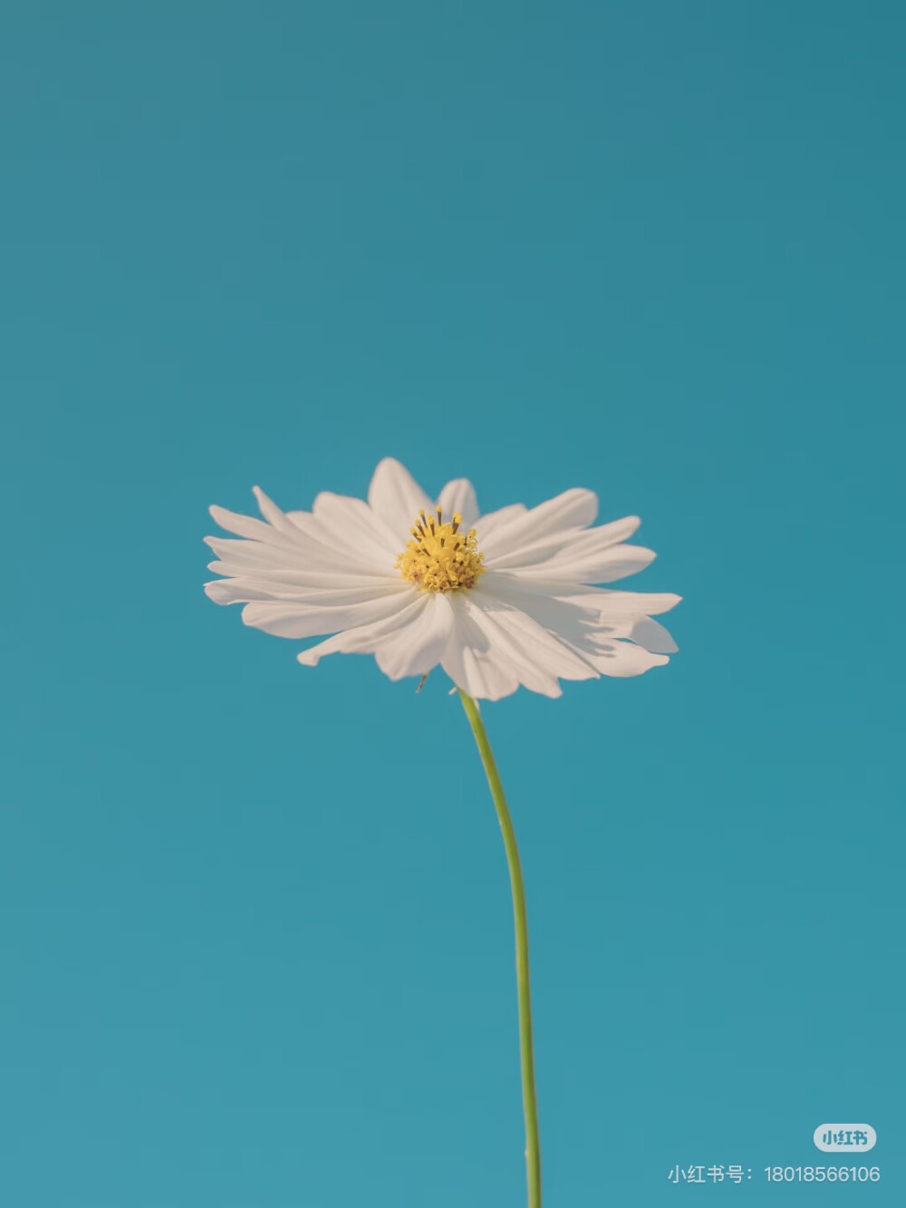 B B N N 高清图片，堆糖，美图壁纸兴趣社区