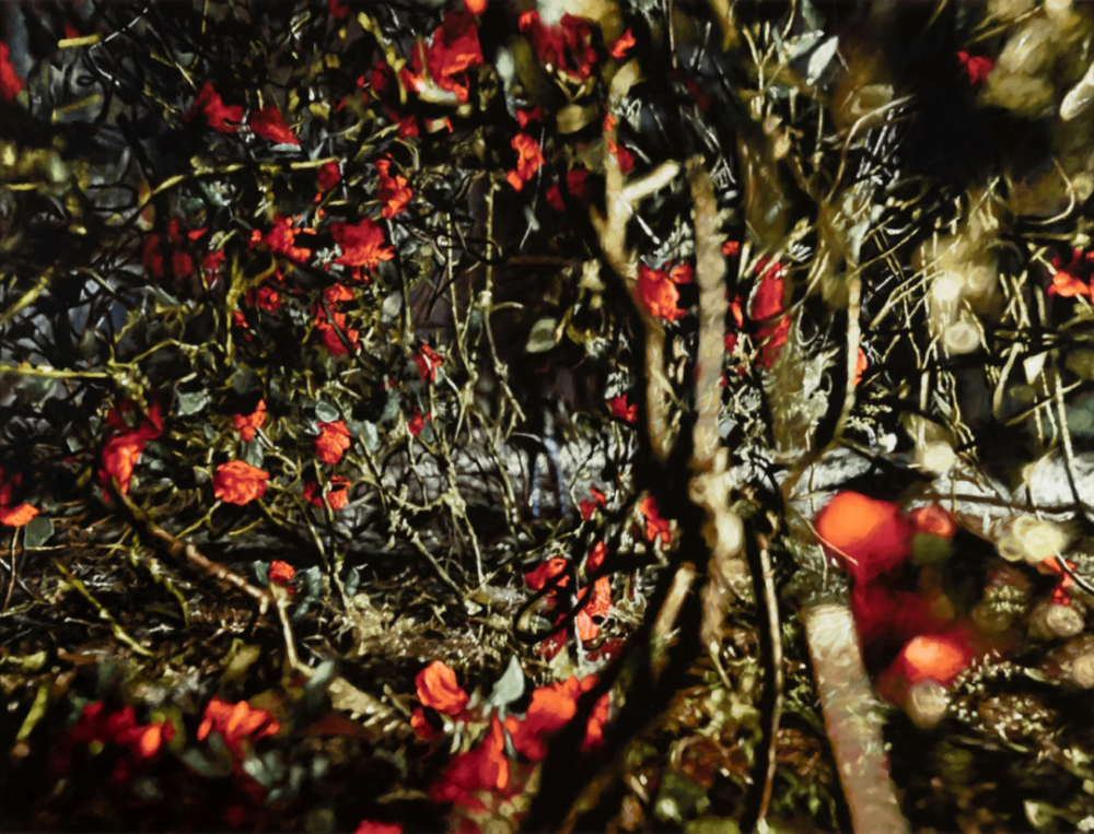 Rosendickicht [Rose Thicket], 2017. oil … - 高清图片，堆糖，美图壁纸兴趣社区