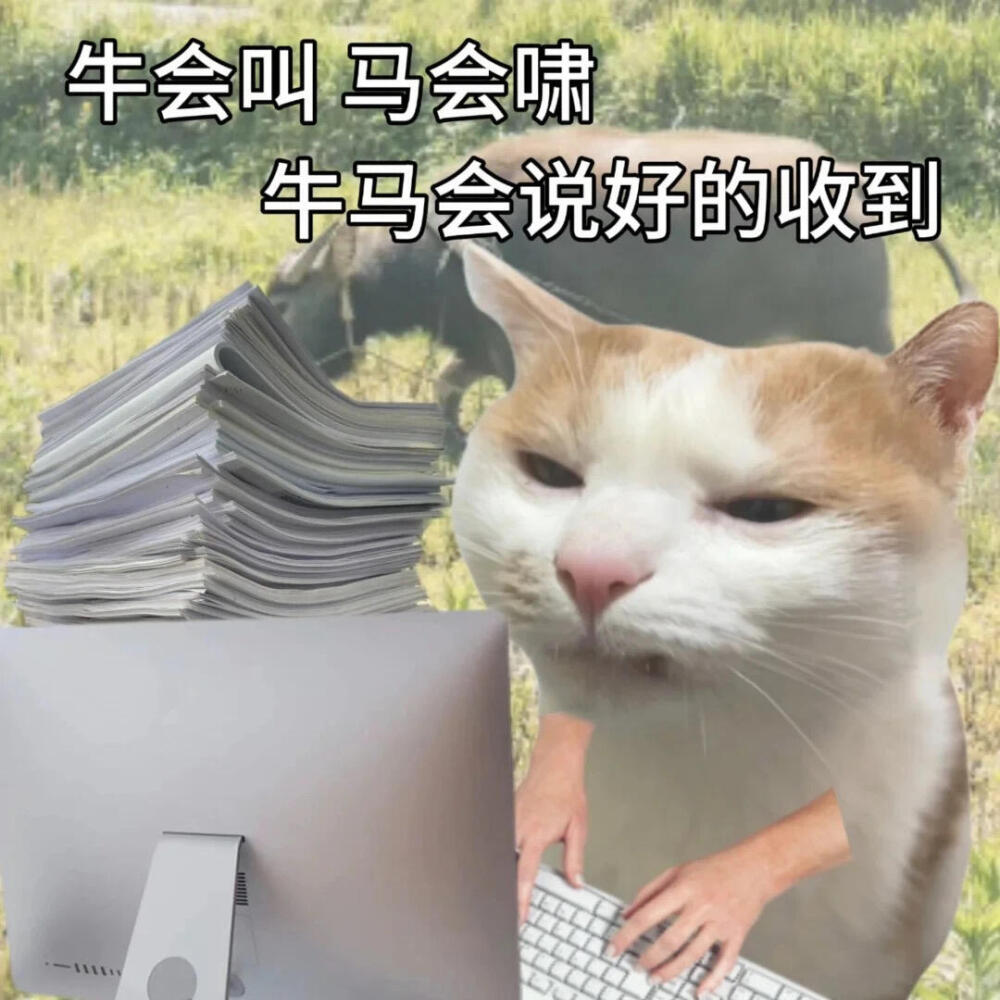 打工人头像 - 高清图片，堆糖，美图壁纸兴趣社区