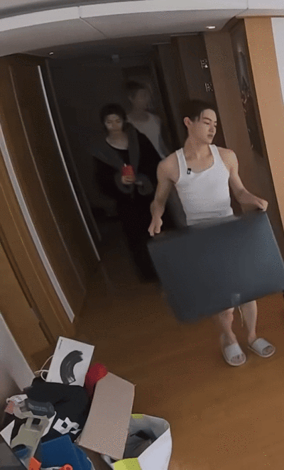 cortis - 高清图片，堆糖，美图壁纸兴趣社区