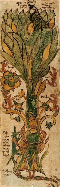 世界之树（Yggdrasil） http://zh.wikipedi… - 高清图片，堆糖，美图壁纸兴趣社区