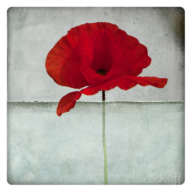 法国艺术家Fabienne Rivory 镜射影像 水彩… - 高清图片，堆糖，美图壁纸兴趣社区