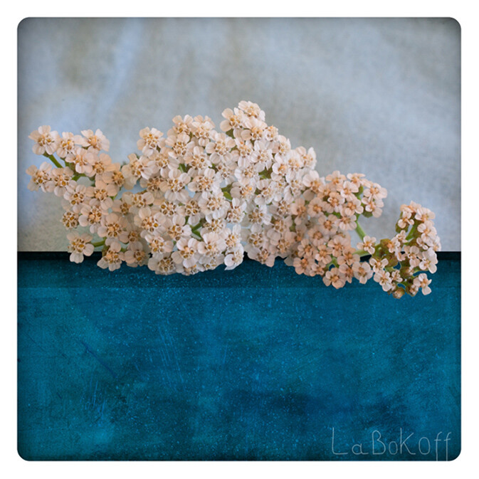 法国艺术家Fabienne Rivory 镜射影像 水彩… - 高清图片，堆糖，美图壁纸兴趣社区