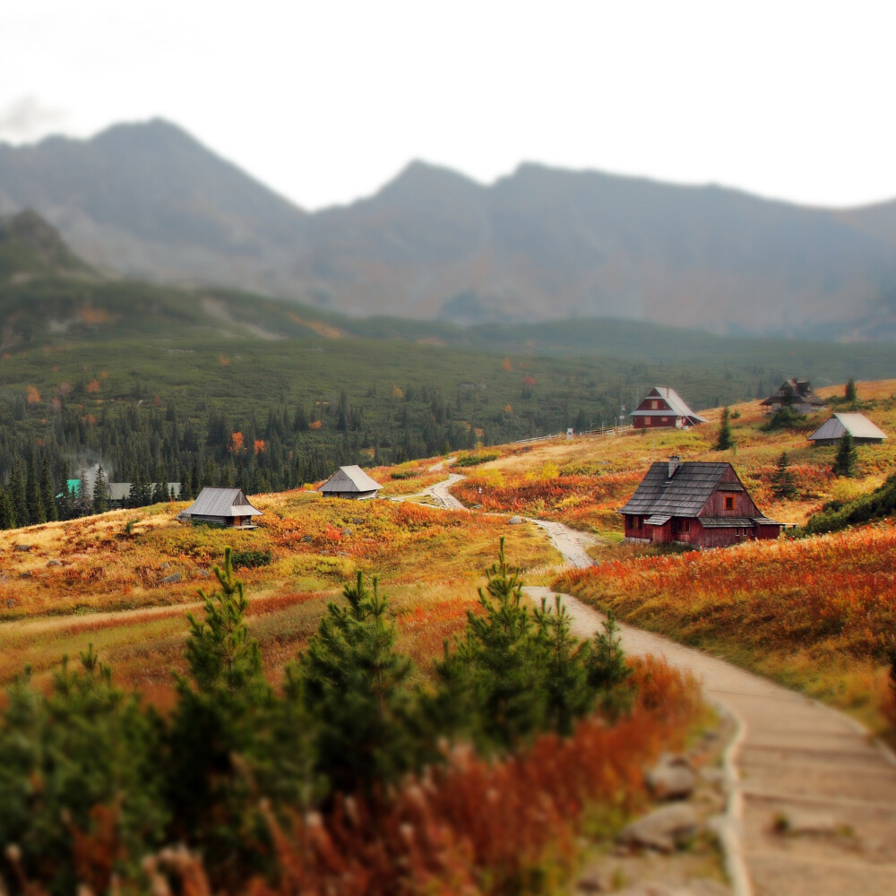 正方形美图 - 高清图片，堆糖，美图壁纸兴趣社区