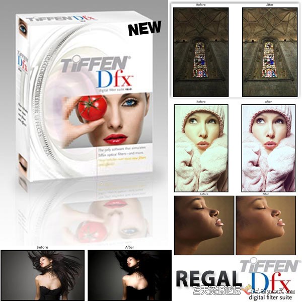 Tiffen Dfx 3.0.10.4CE最新完整汉化版 - 高清图片，堆糖，美图壁纸兴趣社区