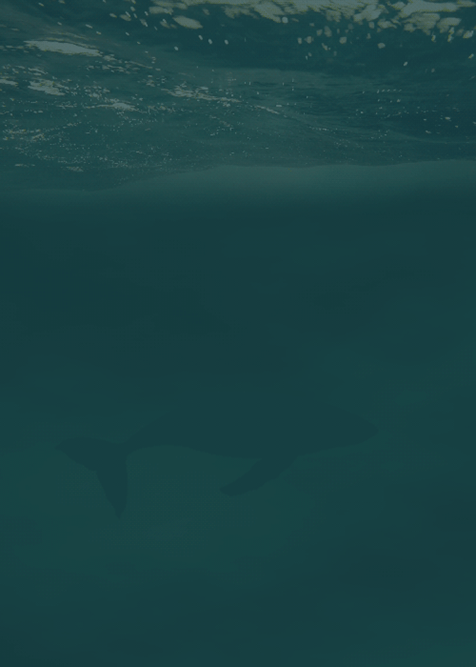 gif - 高清图片，堆糖，美图壁纸兴趣社区