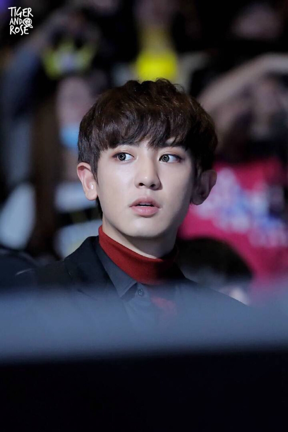 chanyeol - 高清图片，堆糖，美图壁纸兴趣社区