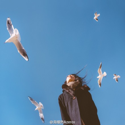 《海之声》摄影@海螺壳Azeros 出境@Azure木… - 高清图片，堆糖，美图壁纸兴趣社区