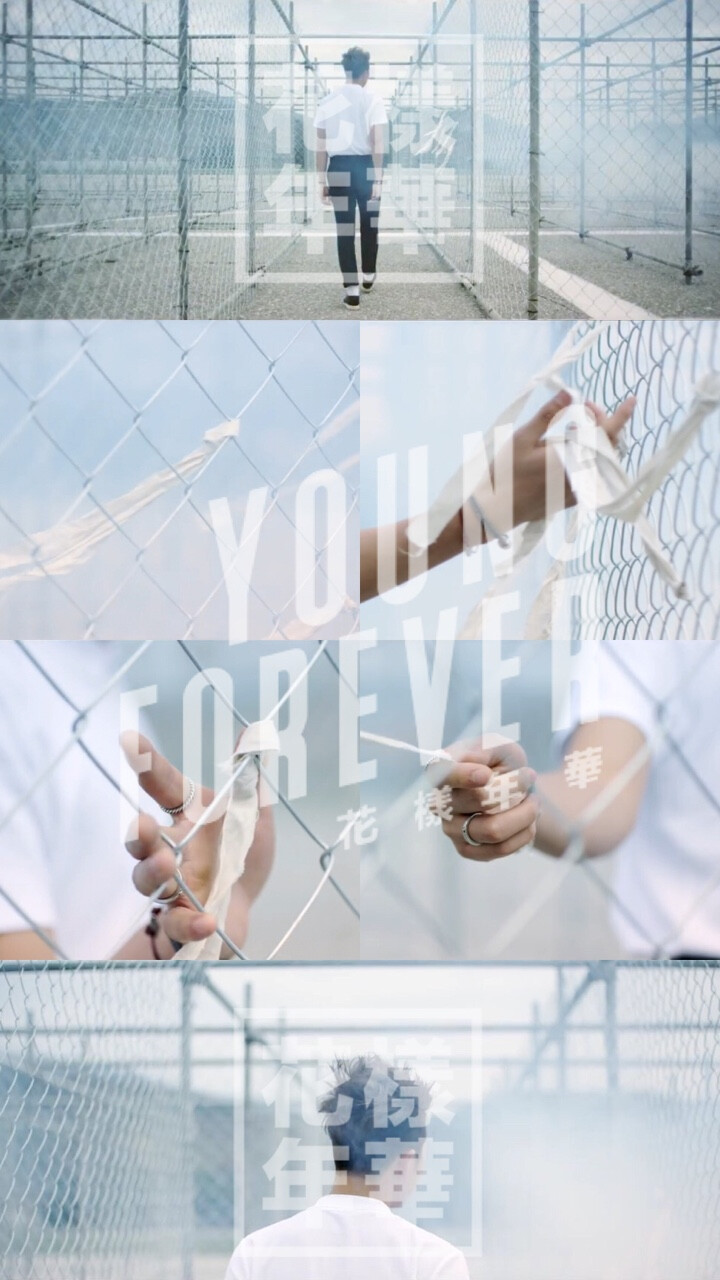 花样年华young forever高清壁纸,防弹少年团 - 堆糖，美图壁纸兴趣社区