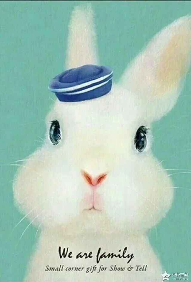 mint rabbit - 高清图片，堆糖，美图壁纸兴趣社区