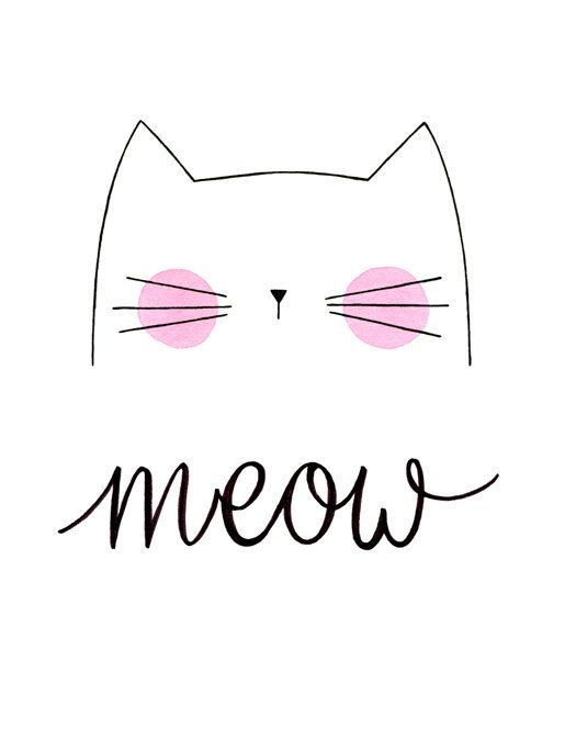 meow - 高清图片，堆糖，美图壁纸兴趣社区