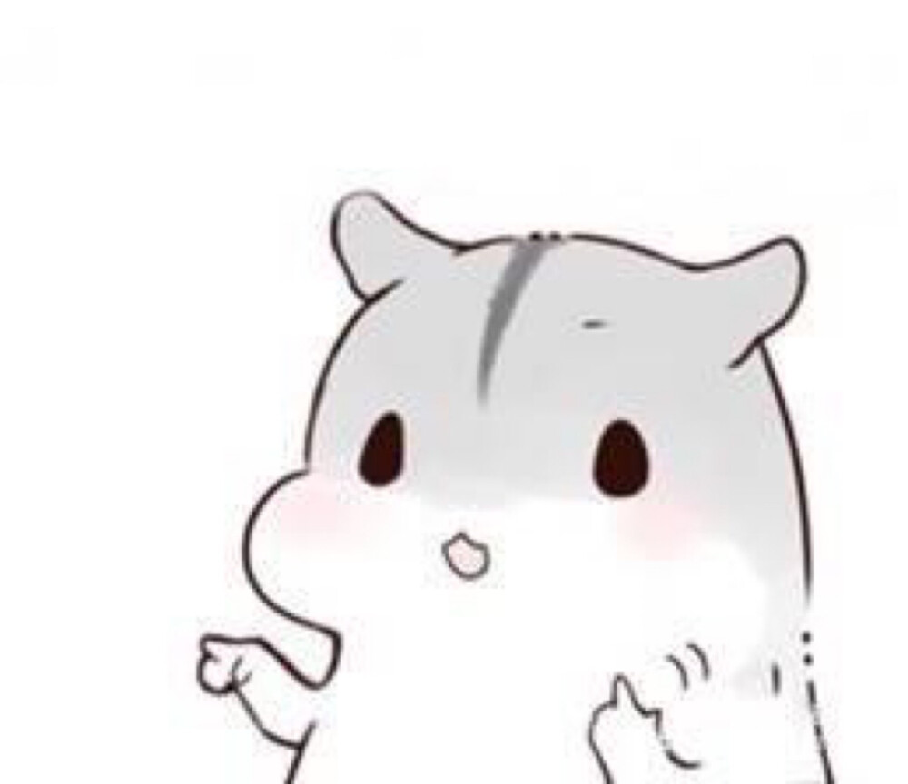 Hamham小仓鼠 - 高清图片，堆糖，美图壁纸兴趣社区