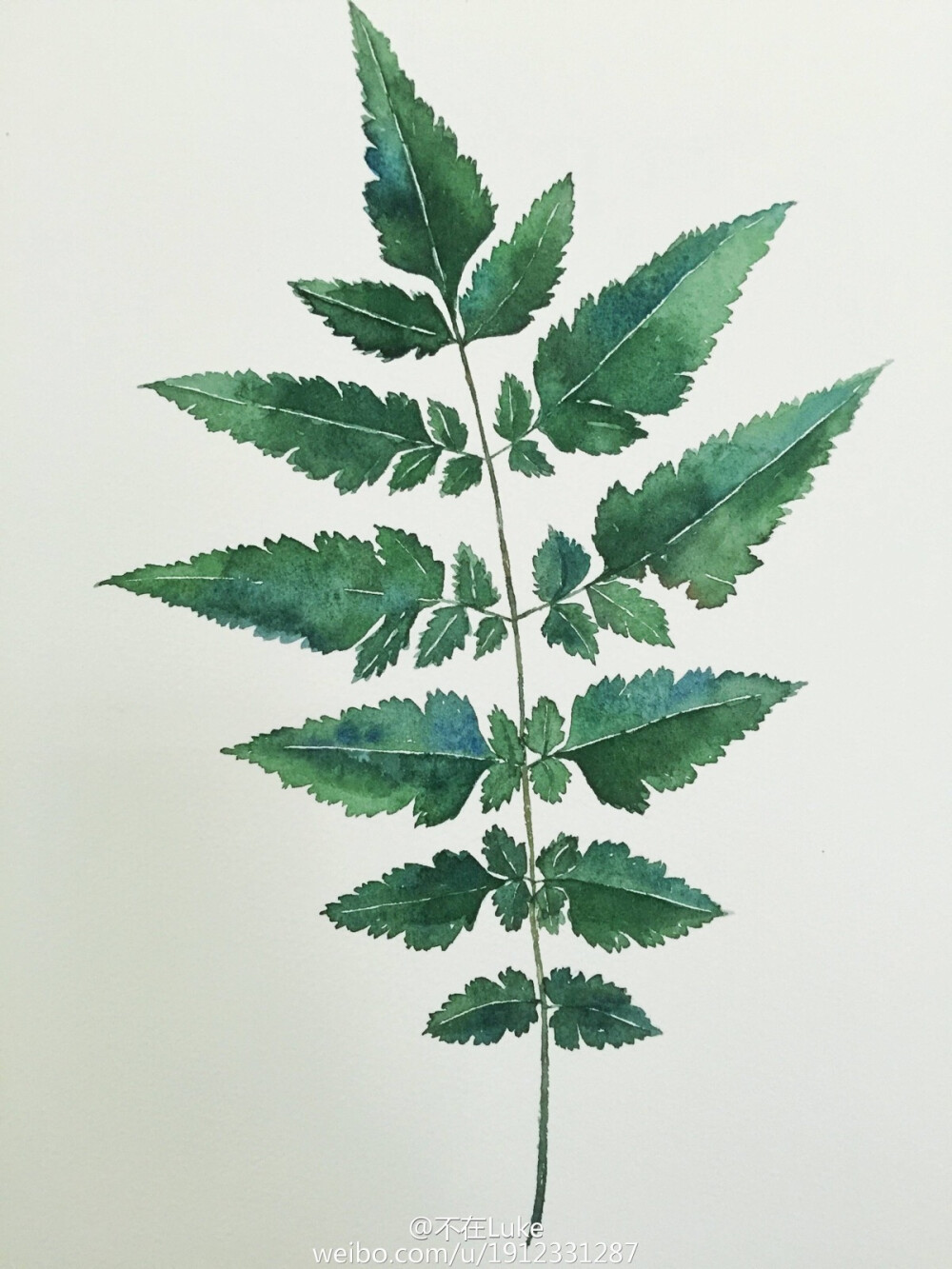 植物 - 高清图片，堆糖，美图壁纸兴趣社区