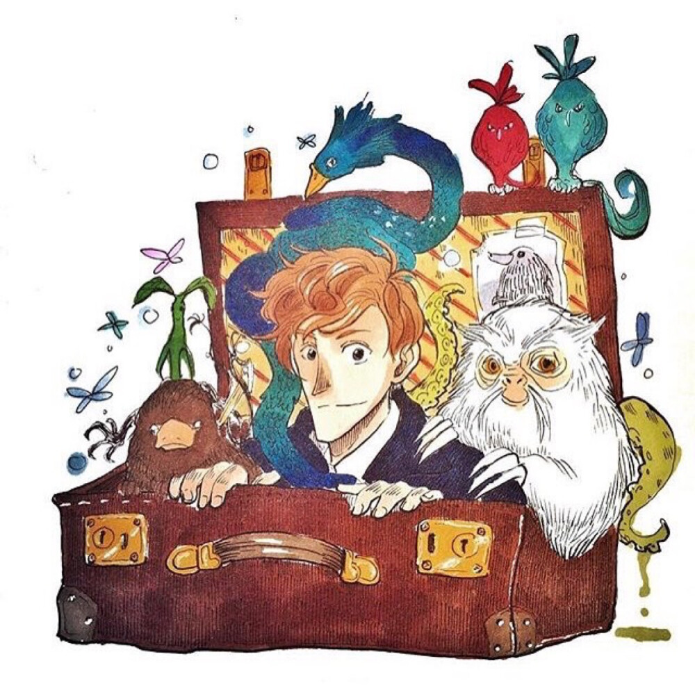 Fantastic Beasts and Where to Find Them … - 堆糖，美图壁纸兴趣社区