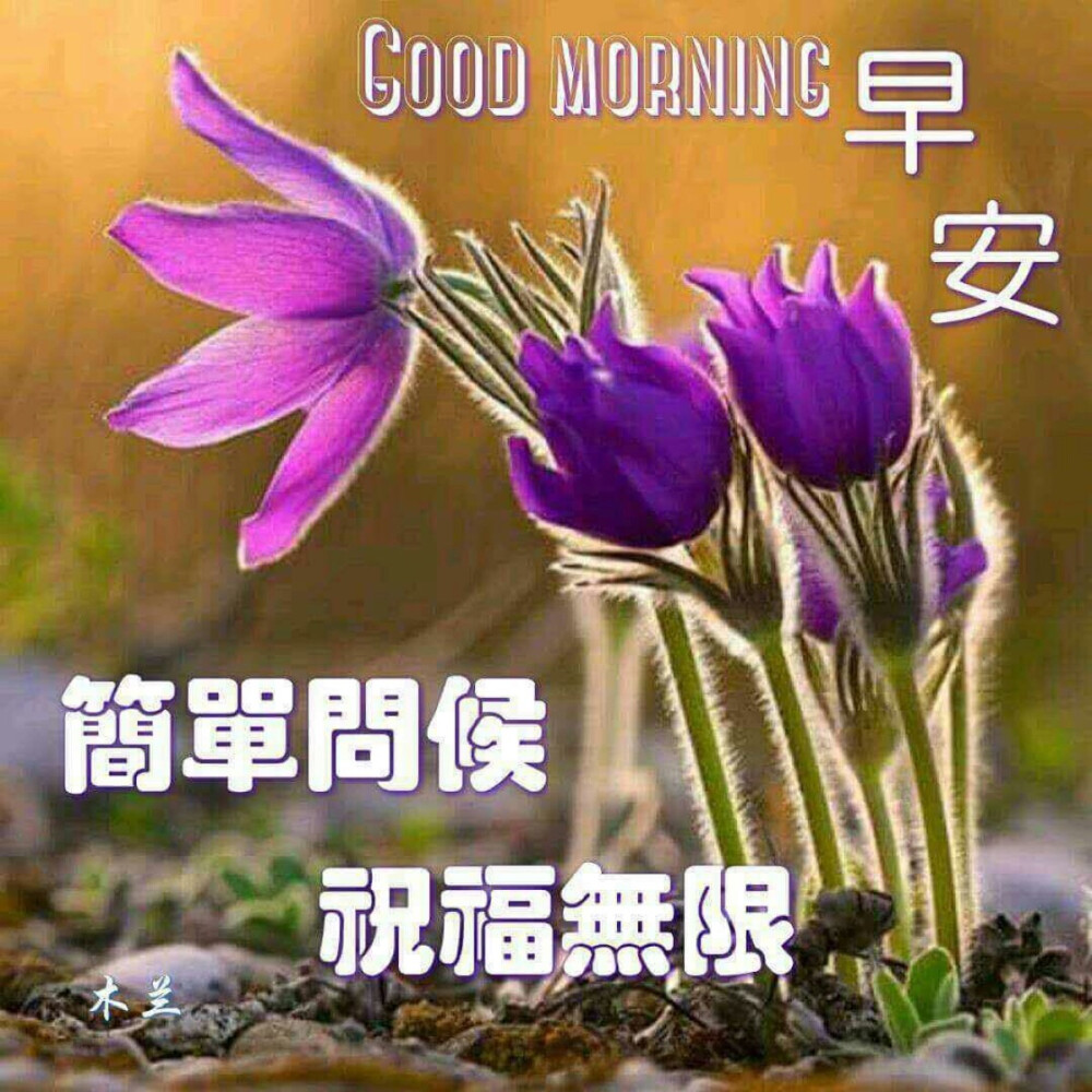 Good Morning - 高清图片，堆糖，美图壁纸兴趣社区