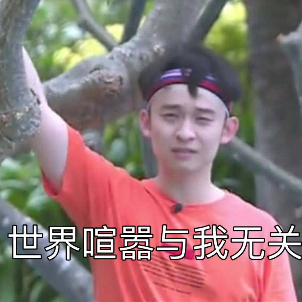 oh小董 - 高清图片，堆糖，美图壁纸兴趣社区