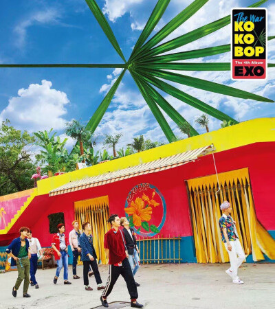 kokobop - 高清图片，堆糖，美图壁纸兴趣社区