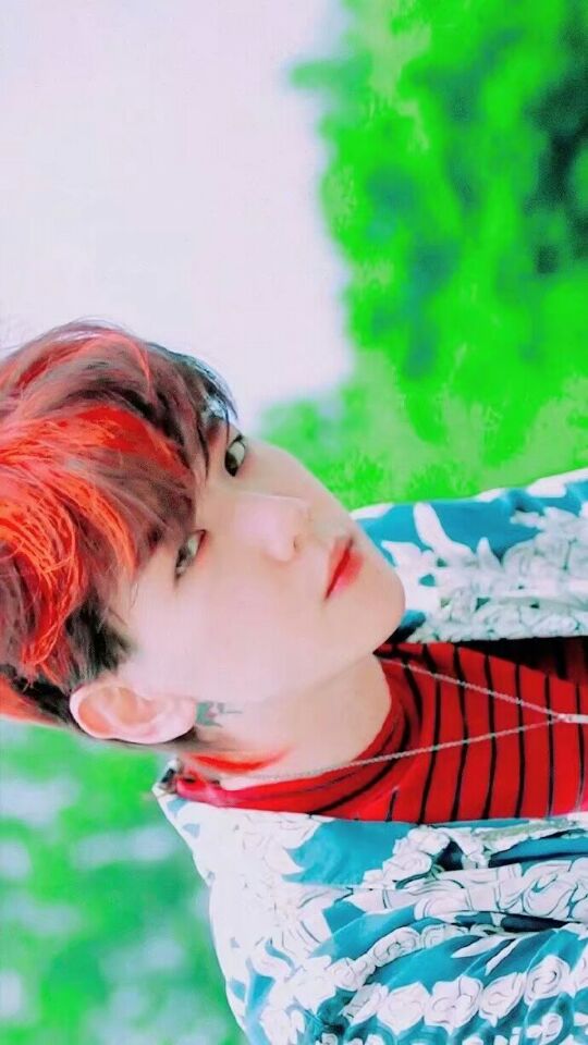 ko ko bop/伯贤/壁纸 - 高清图片，堆糖，美图壁纸兴趣社区