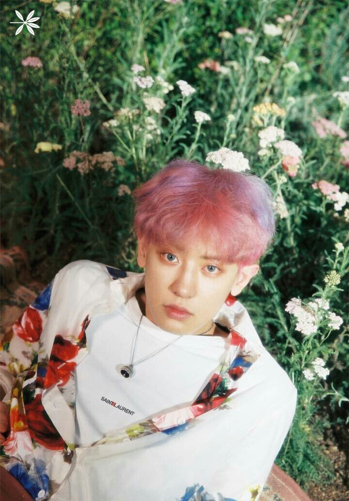 kokobop - 堆糖，美图壁纸兴趣社区