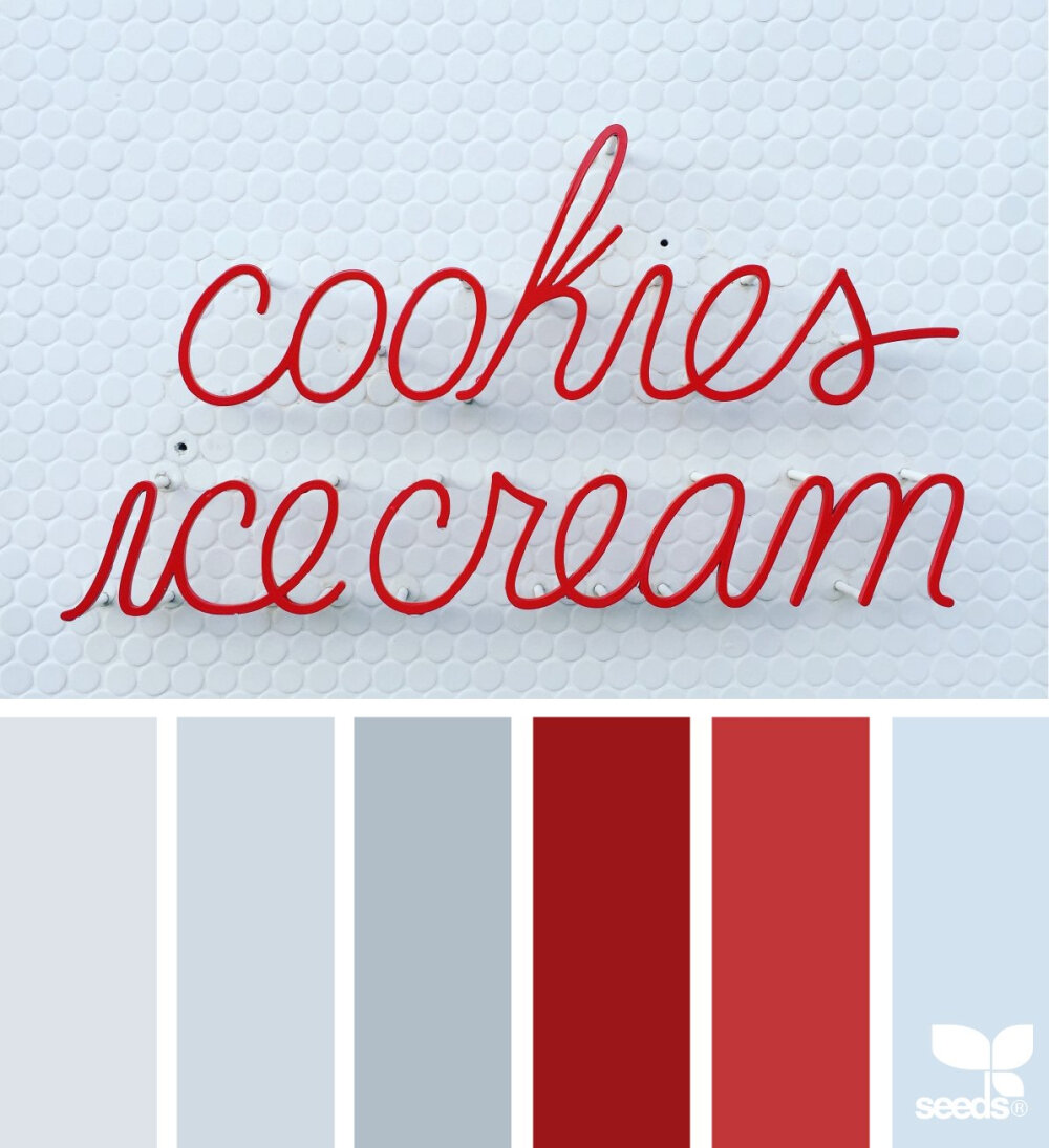 Twitter：jessica colaluca @design seeds … - 高清图片，堆糖，美图壁纸兴趣社区