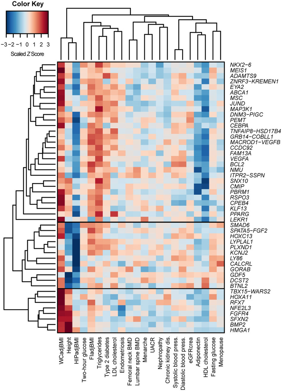 Heat map of unsupervised hierarchical cl… - 高清图片，堆糖，美图壁纸兴趣社区