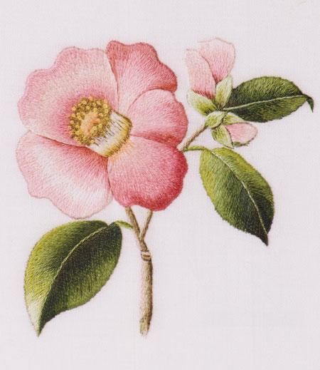 %E7%BB%A3%E8%8A%B1%0A - 高清图片，堆糖，美图壁纸兴趣社区