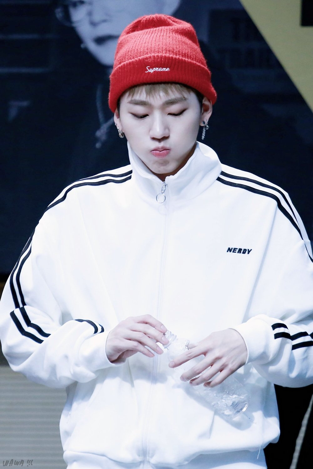 Zico - 堆糖，美图壁纸兴趣社区