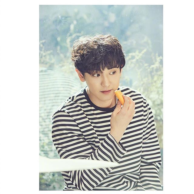 chanyeol - 堆糖，美图壁纸兴趣社区