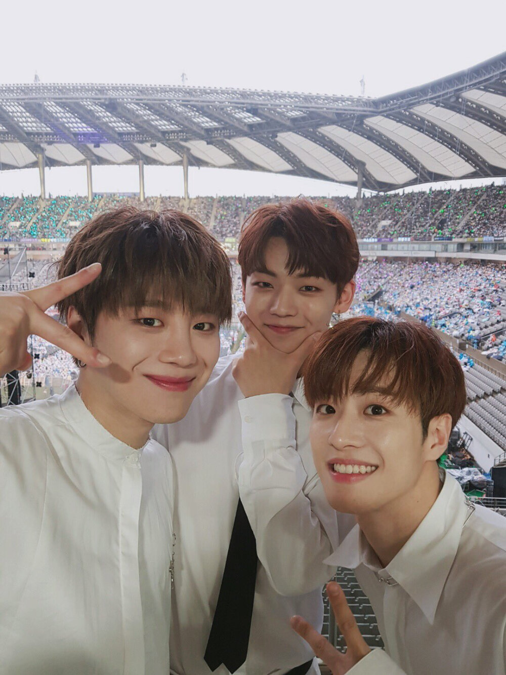 李宜缜 吴光硕Feeldog 康裕瓒Chan The Un… - 高清图片，堆糖，美图壁纸兴趣社区