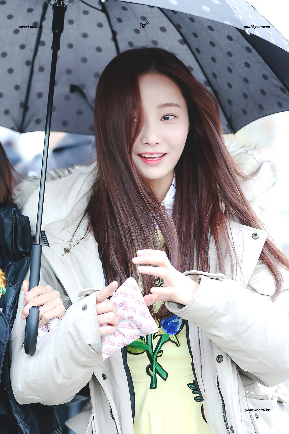 momoland 妍雨 161110 MCD mini fans meeti… - 高清图片，堆糖，美图壁纸兴趣社区