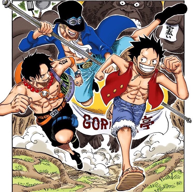 海贼王扉页 - 高清图片，堆糖，美图壁纸兴趣社区