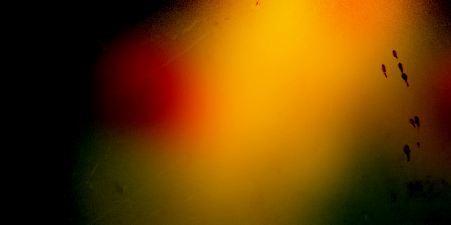 溶图素材 - 堆糖，美图壁纸兴趣社区