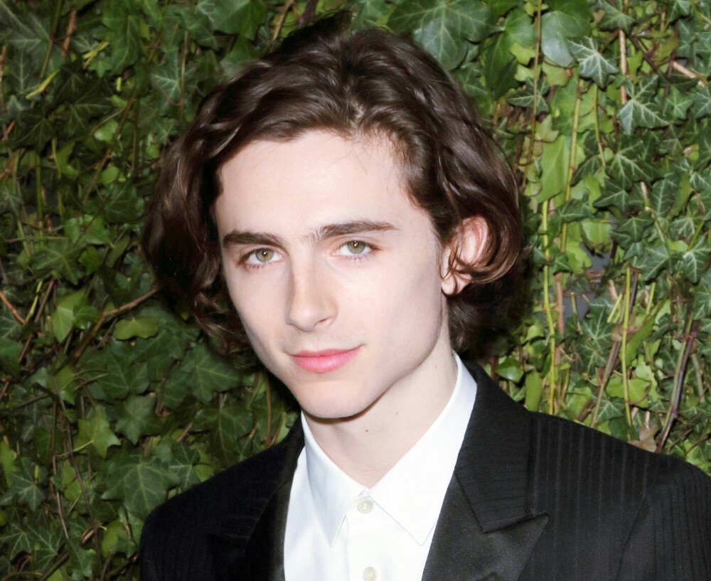 提莫西 - 高清图片，堆糖，美图壁纸兴趣社区