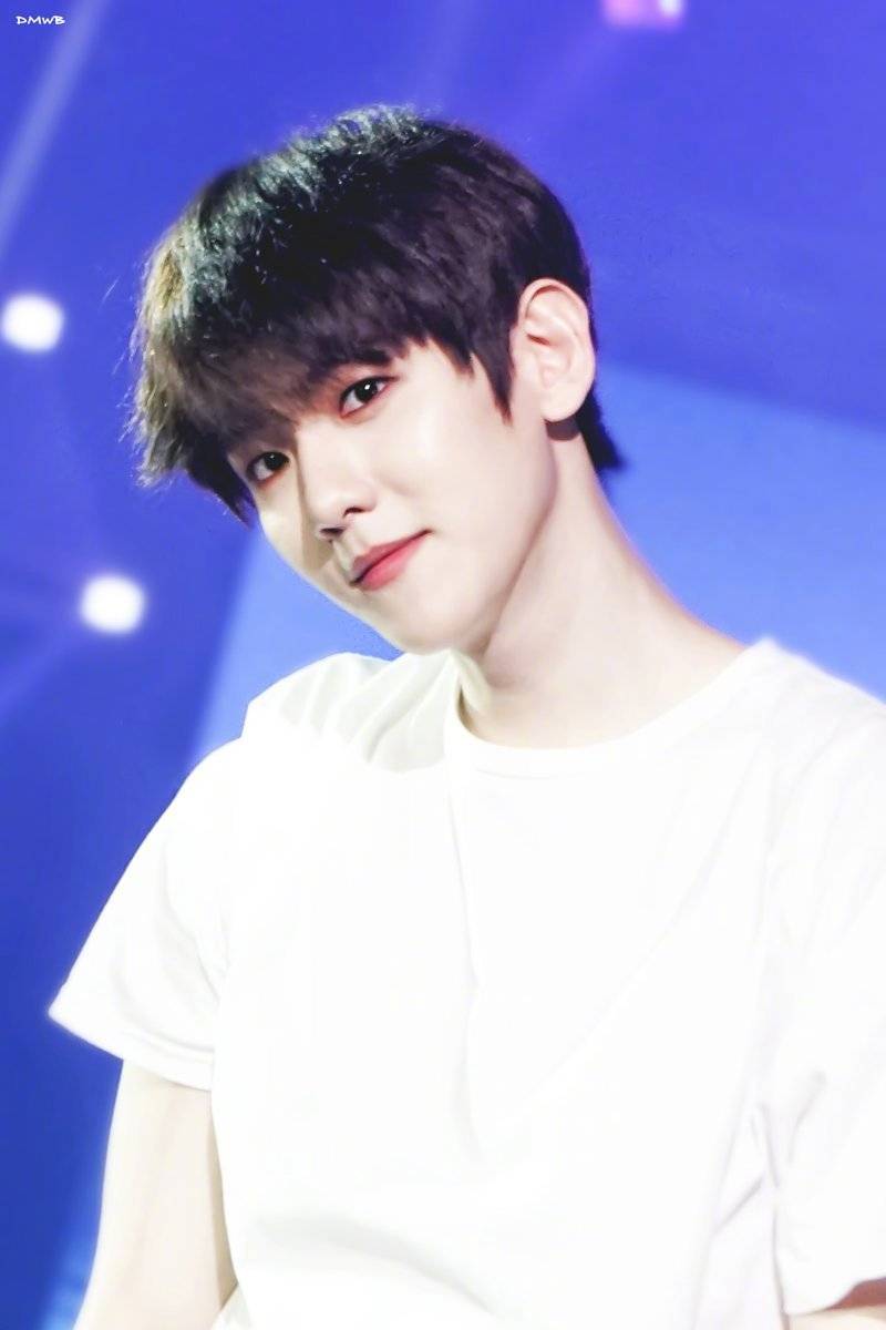 #边伯贤# 180811 四巡澳门演唱会 - 高清图片，堆糖，美图壁纸兴趣社区