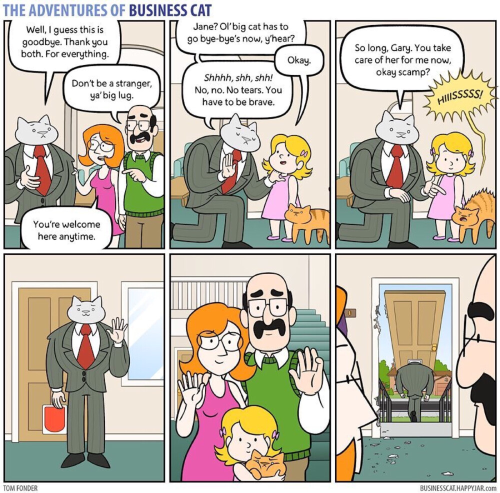 The Adventures of Business Cat - 高清图片，堆糖，美图壁纸兴趣社区